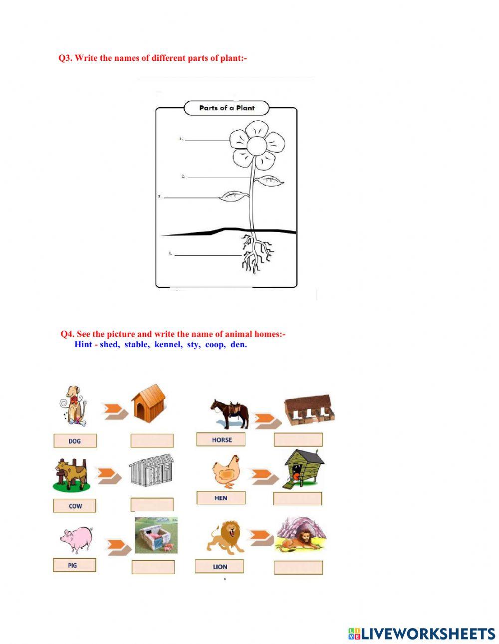 Demo sheet 1289364 | Abhi1122 | Live Worksheets