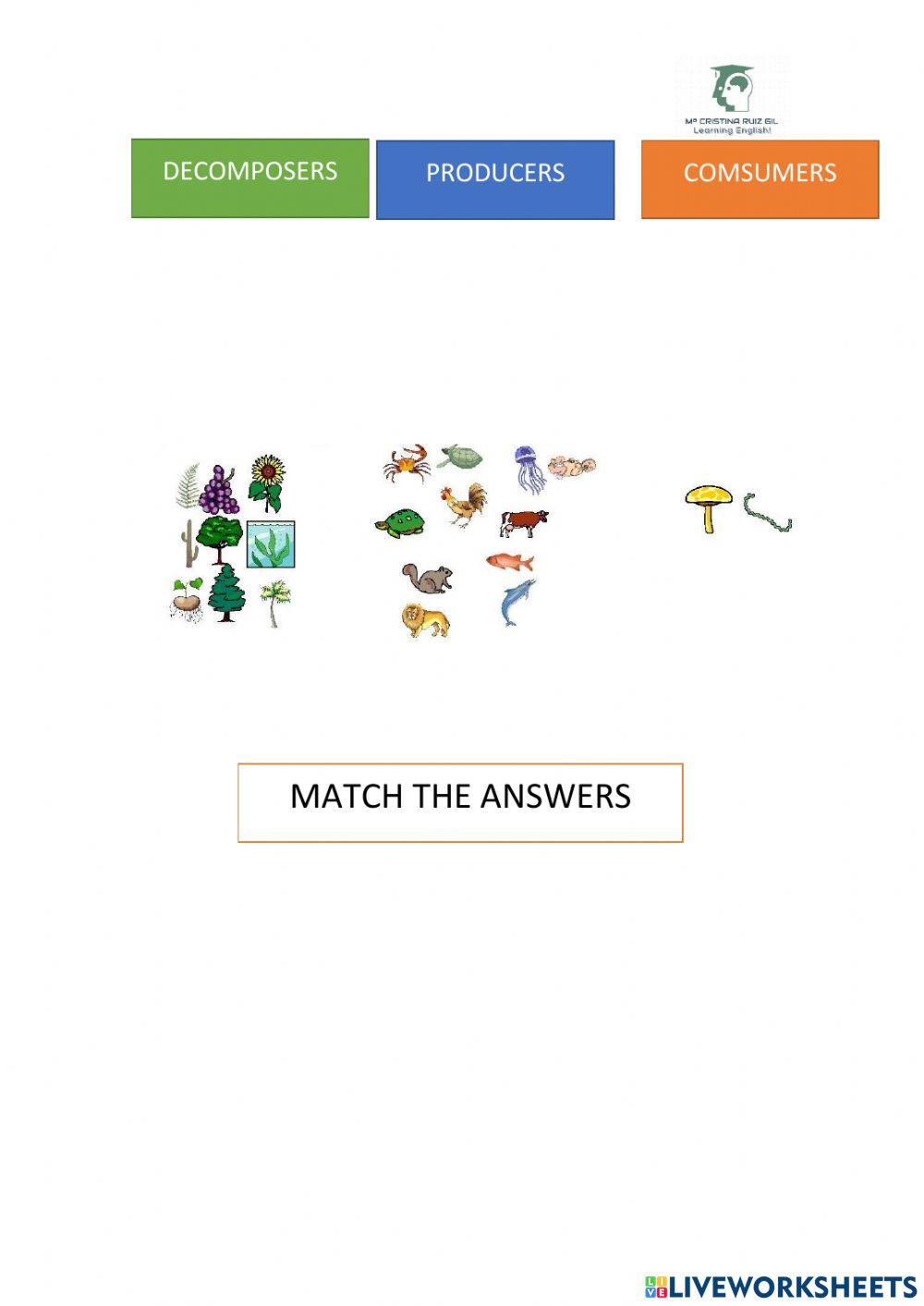 Pdf online activity: Biology | Live Worksheets