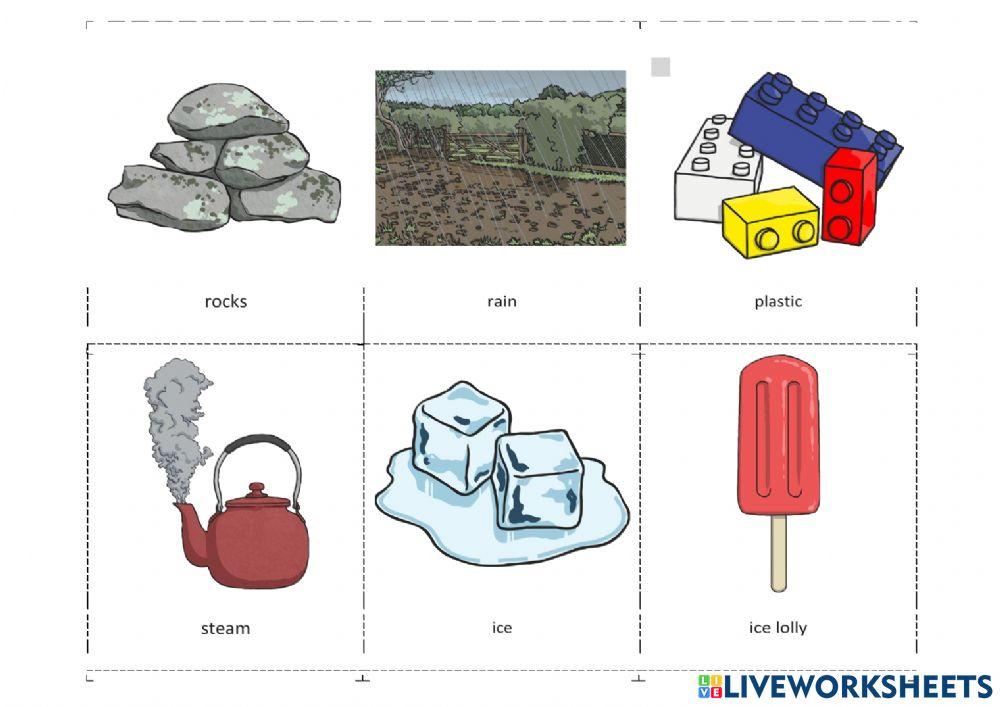 Science Term 1 Lesson 1 worksheet | Live Worksheets