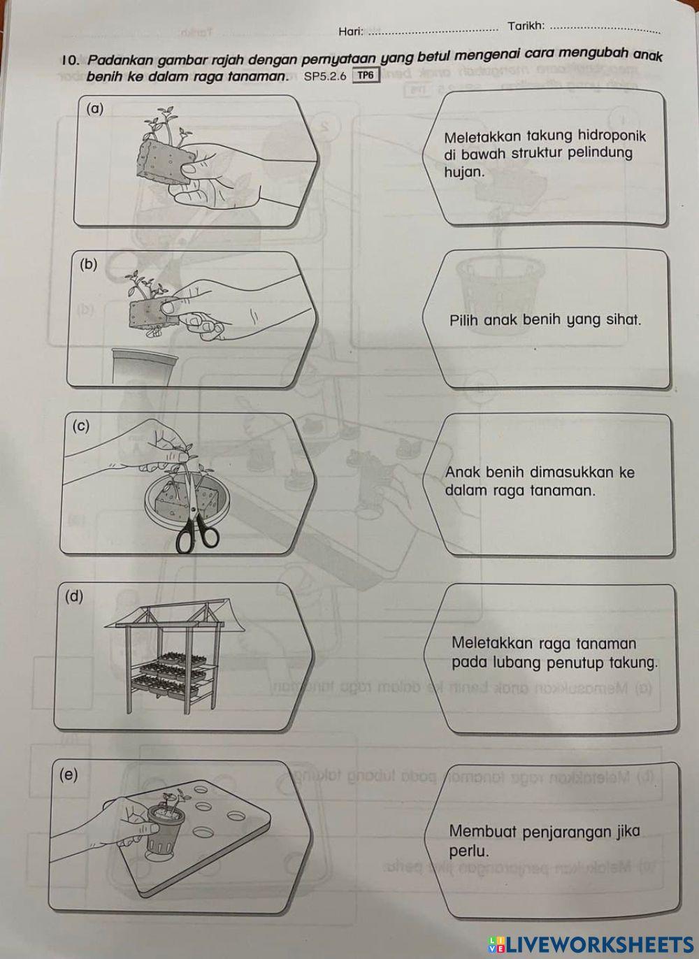 Rbt tahun 6 1292630 | CgYatie | Live Worksheets