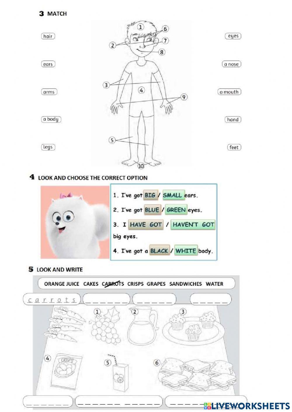 2142556 | junior 1 2nd term test | Cecilia Tello