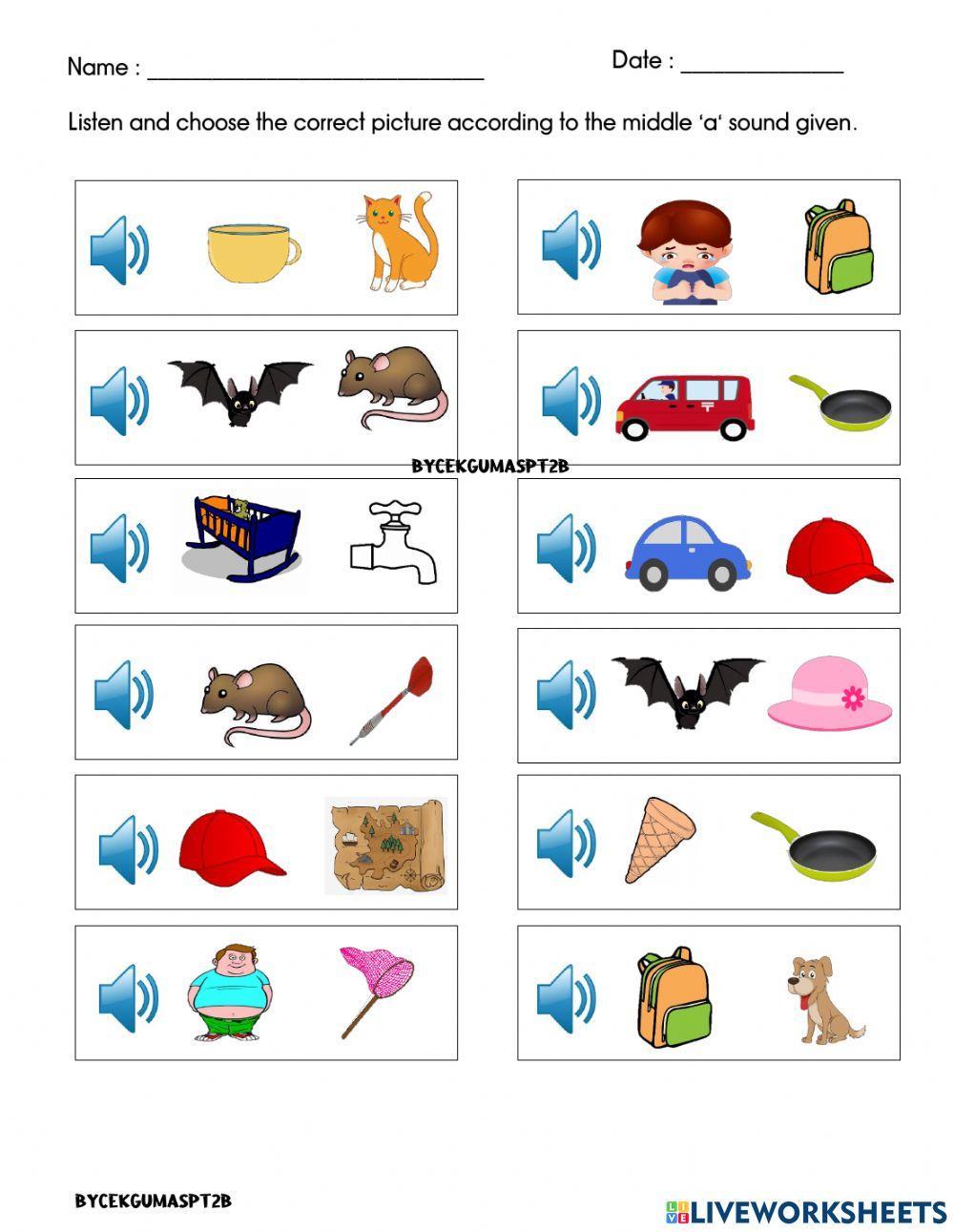 1295038 | Choose the correct picture according to the