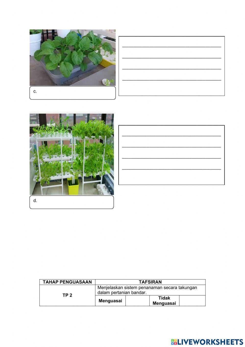 Unit 4: Teknologi Pertanian activity | Live Worksheets
