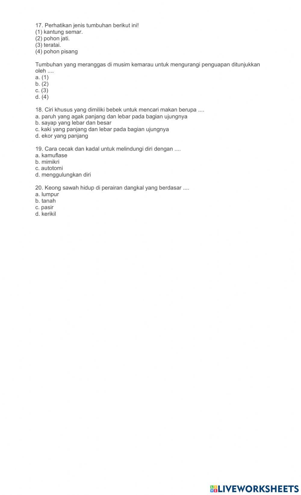 Ipa interactive worksheet for 6 | Live Worksheets