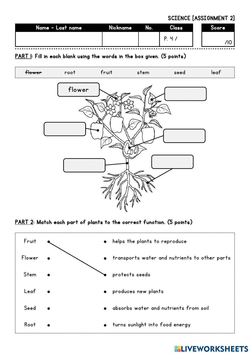 1295997 | EIS P4 Science Worksheet2 | Gymily