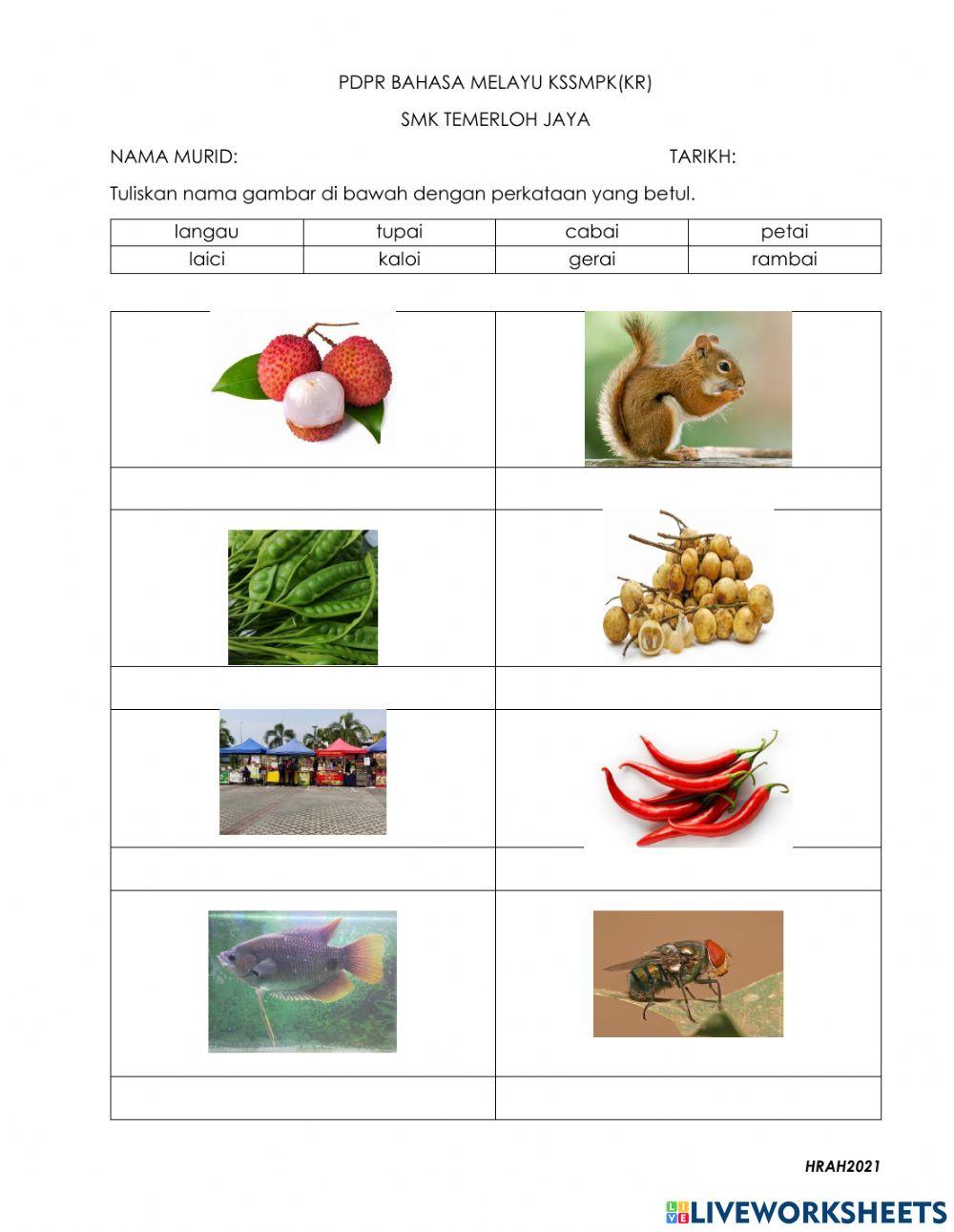 Diftong & vokal berganding worksheet | Live Worksheets