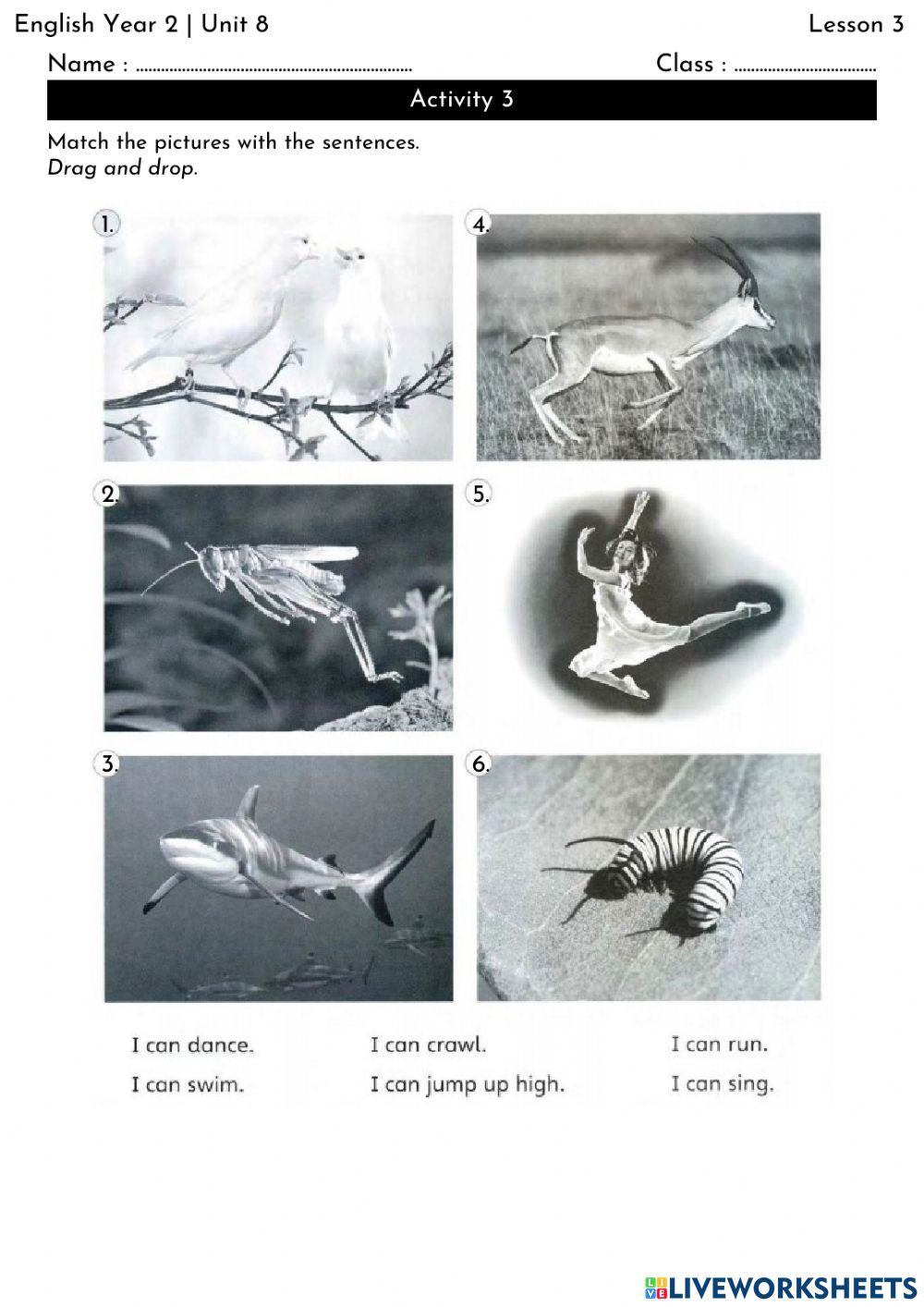 English Year 2 The Robot - Lesson 3.3 worksheet | Live Worksheets