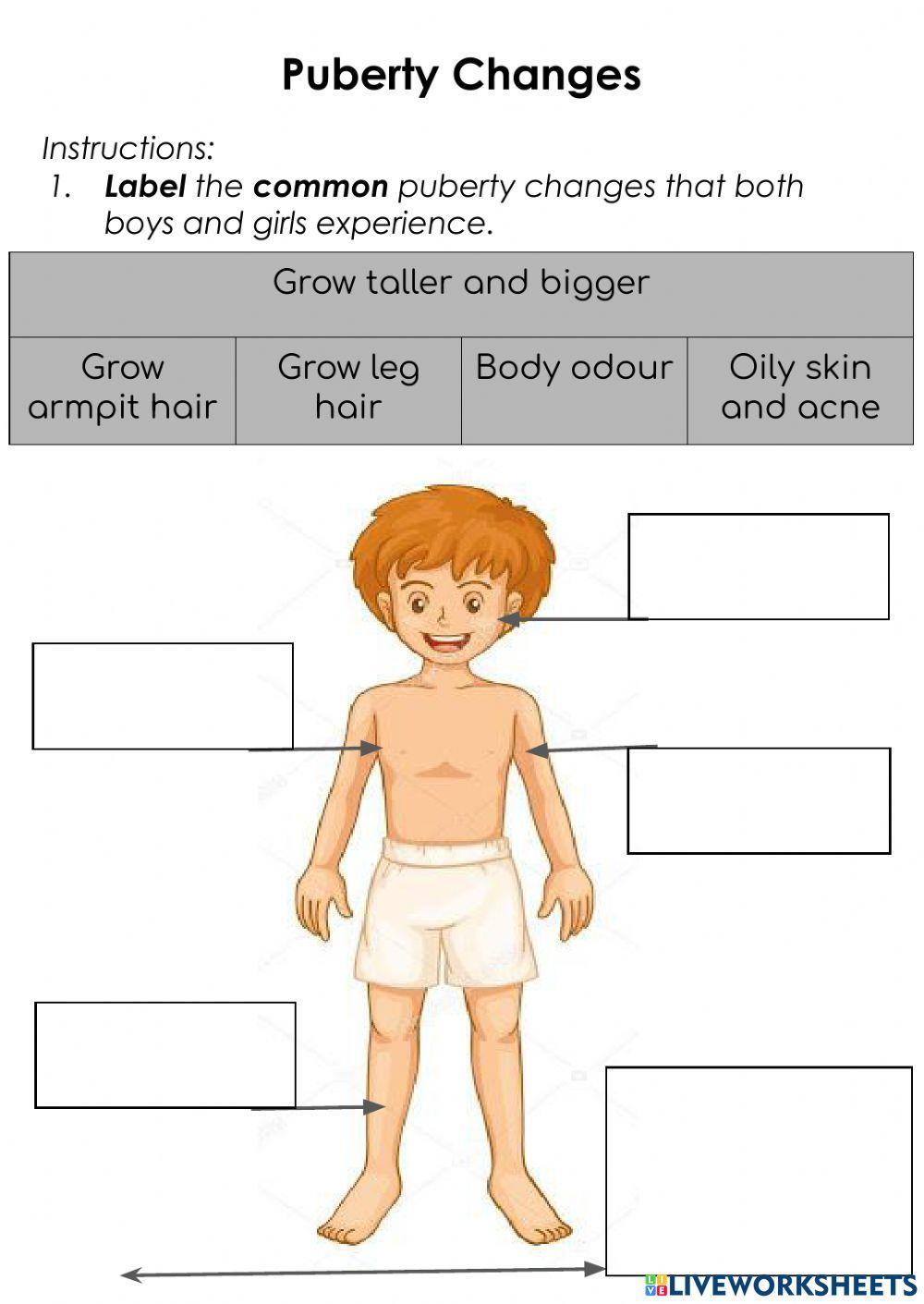 Ejaculation worksheet | Live Worksheets