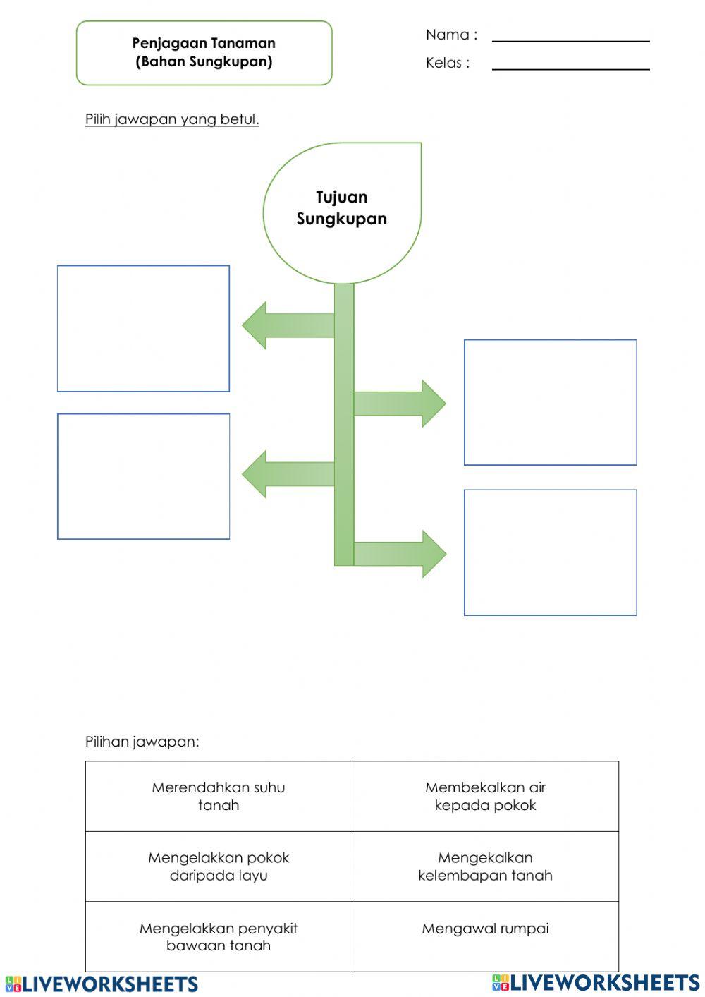 Meletak bahan s… | Free Interactive Worksheets | 5136717