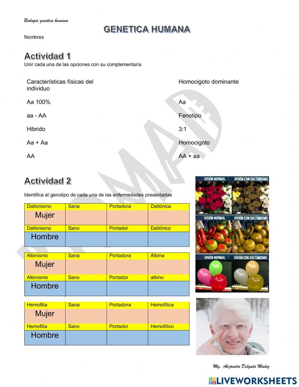 genetica humana | Free Interactive Worksheets | 5136846