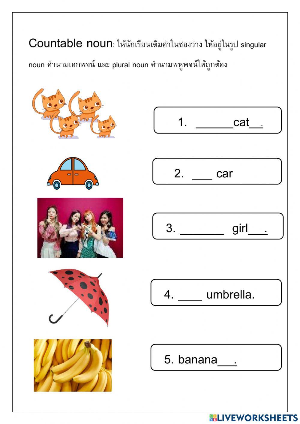 countable noun singular