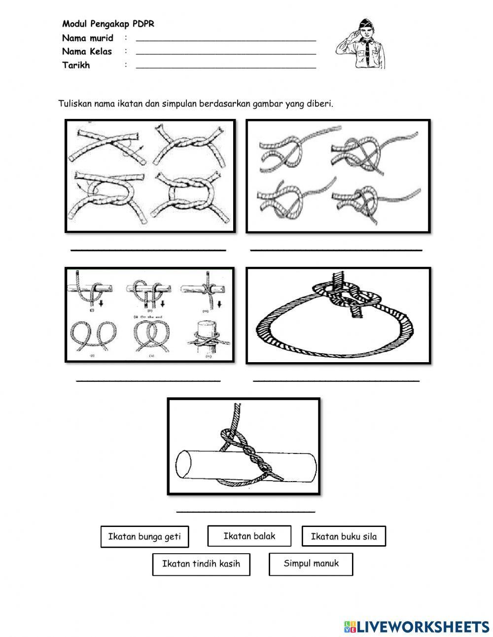 PENGAKAP - JENIS IKATAN DAN SIMPULAN online exercise for | Live Worksheets