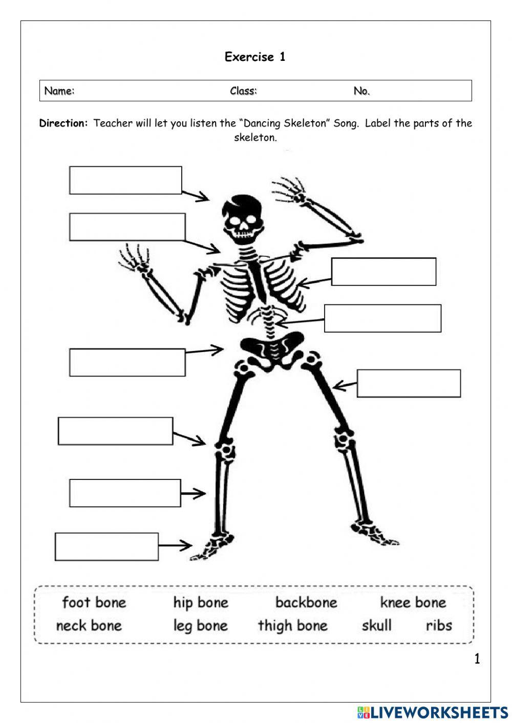 Stages of Development Reviewer worksheet | Live Worksheets