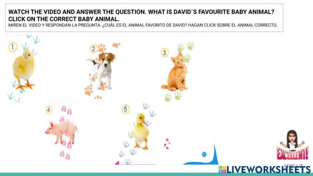 Baby animals | LizGreene | Live Worksheets
