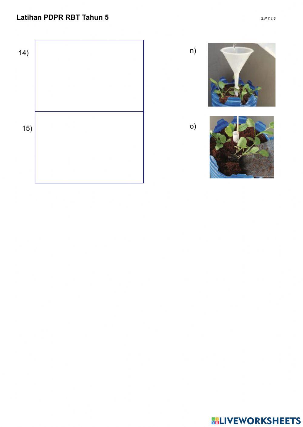 RBT T5 ms77-ms80 worksheet | Live Worksheets