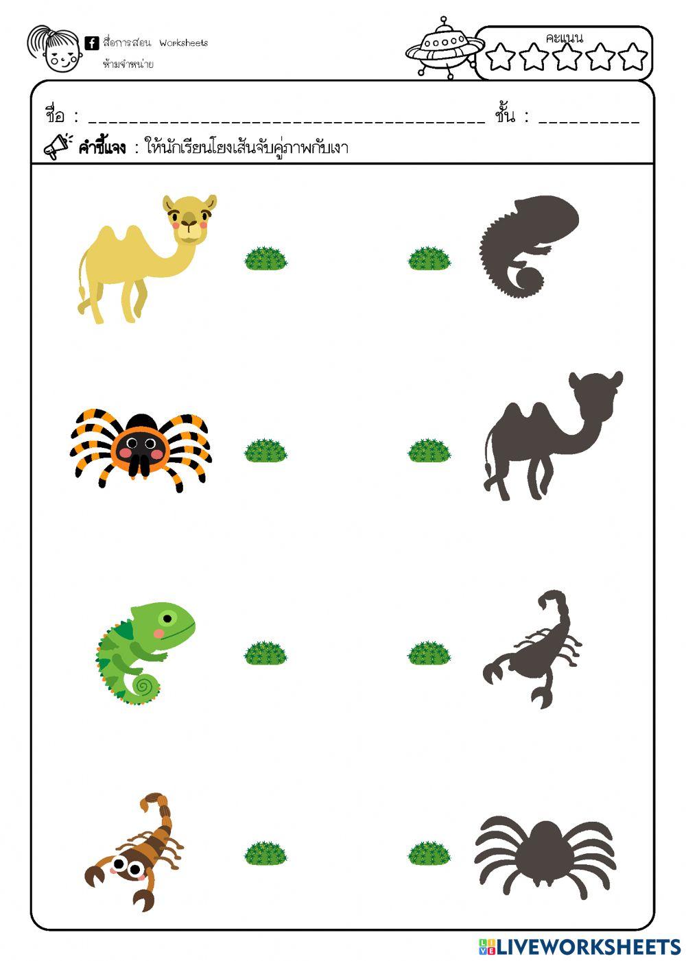 โยงเส้นจับคู่ภาพที่เหมือนกัน | Live Worksheets