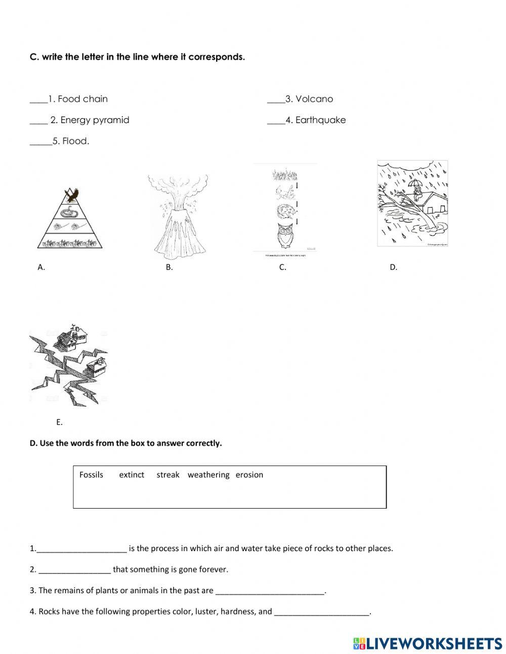 5th grade Scien… | Free Interactive Worksheets | 1309253