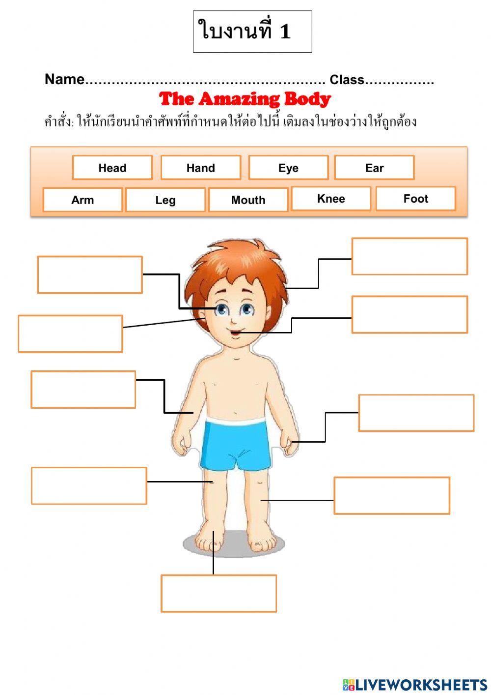 Amazing Body 1309199 | ginaenglishteacher | Live