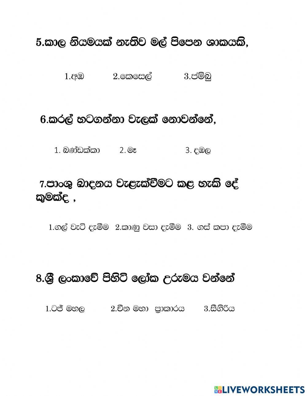 paper 19 online exercise for | Live Worksheets