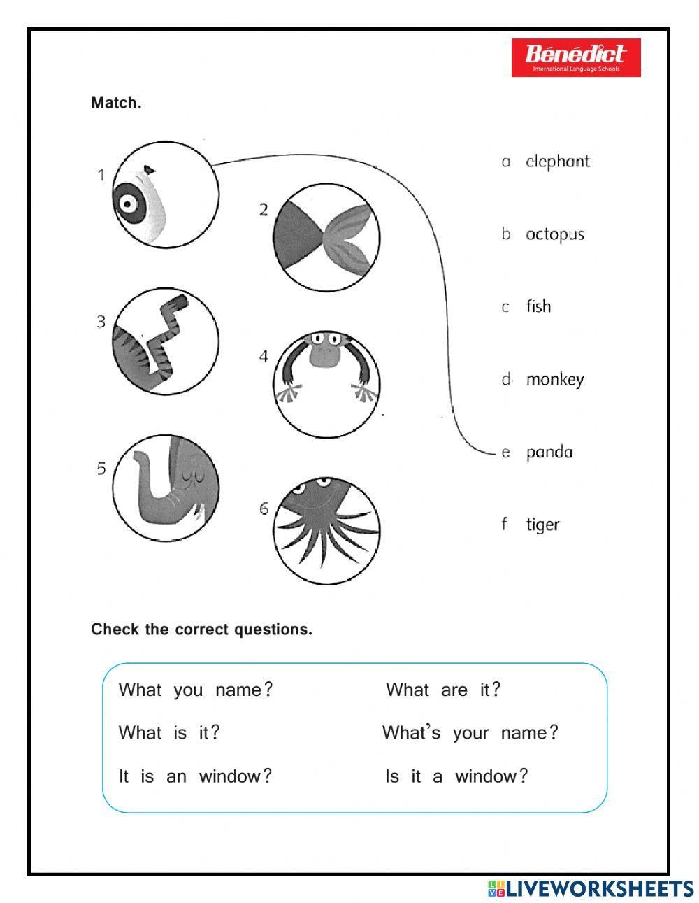 Kids 1: Unit 2 1309513 | Heidi Vera | Live Worksheets