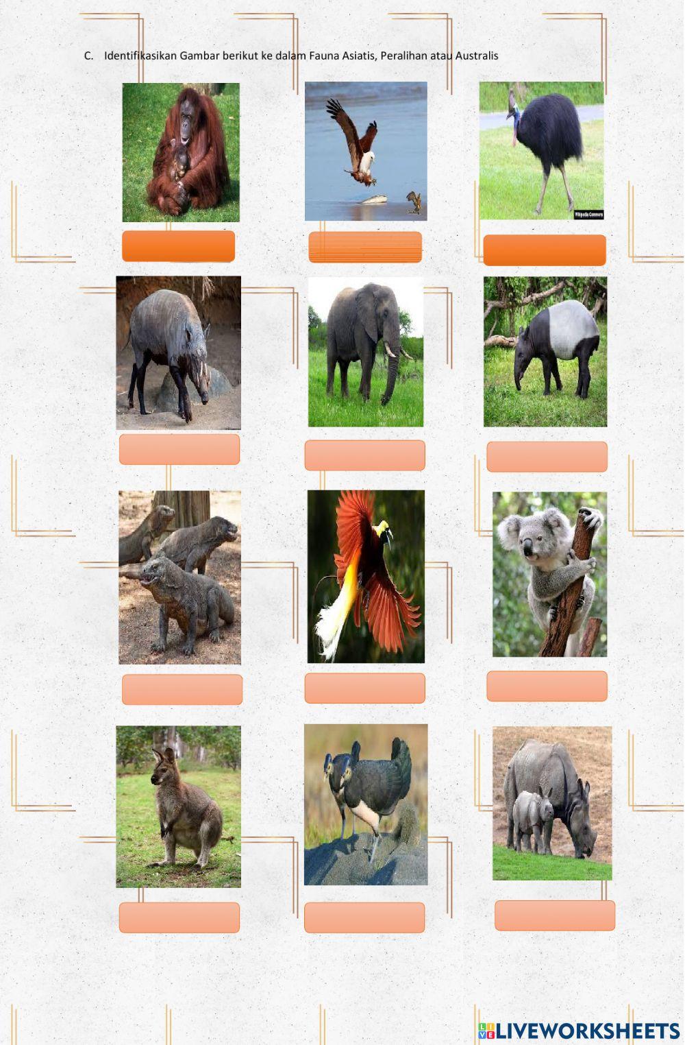 Flora dan Fauna exercise | Live Worksheets