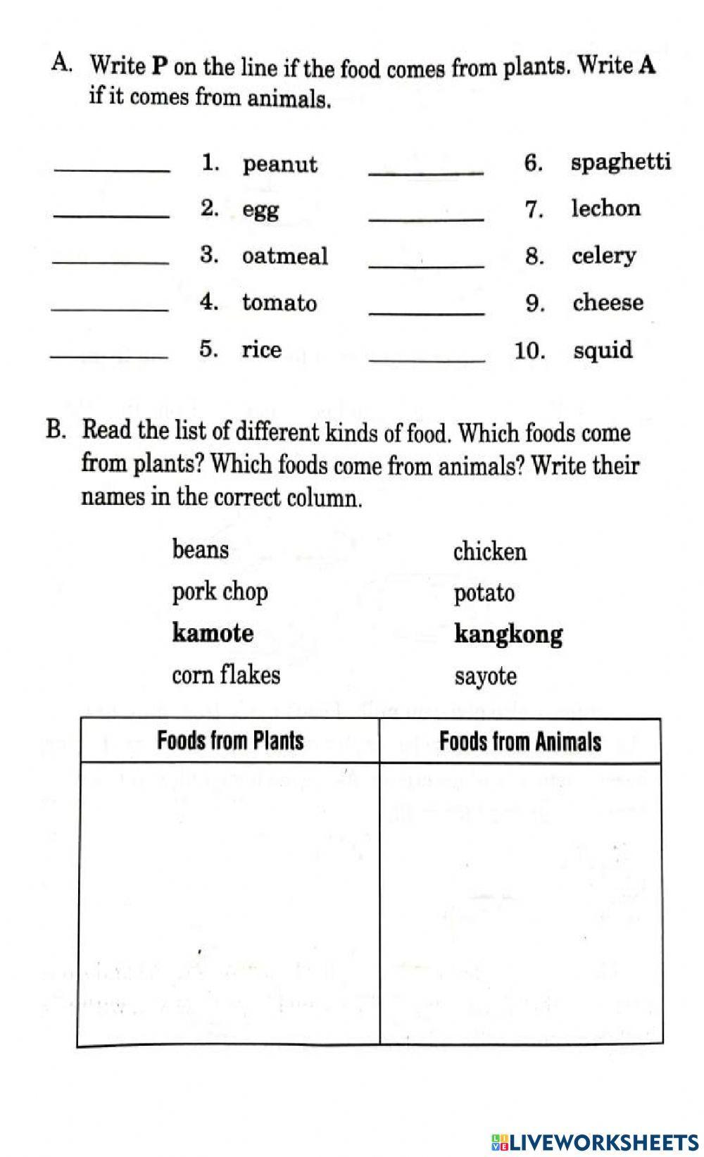 1311892 | Source of Foods | Ma. Lucina Ruelan