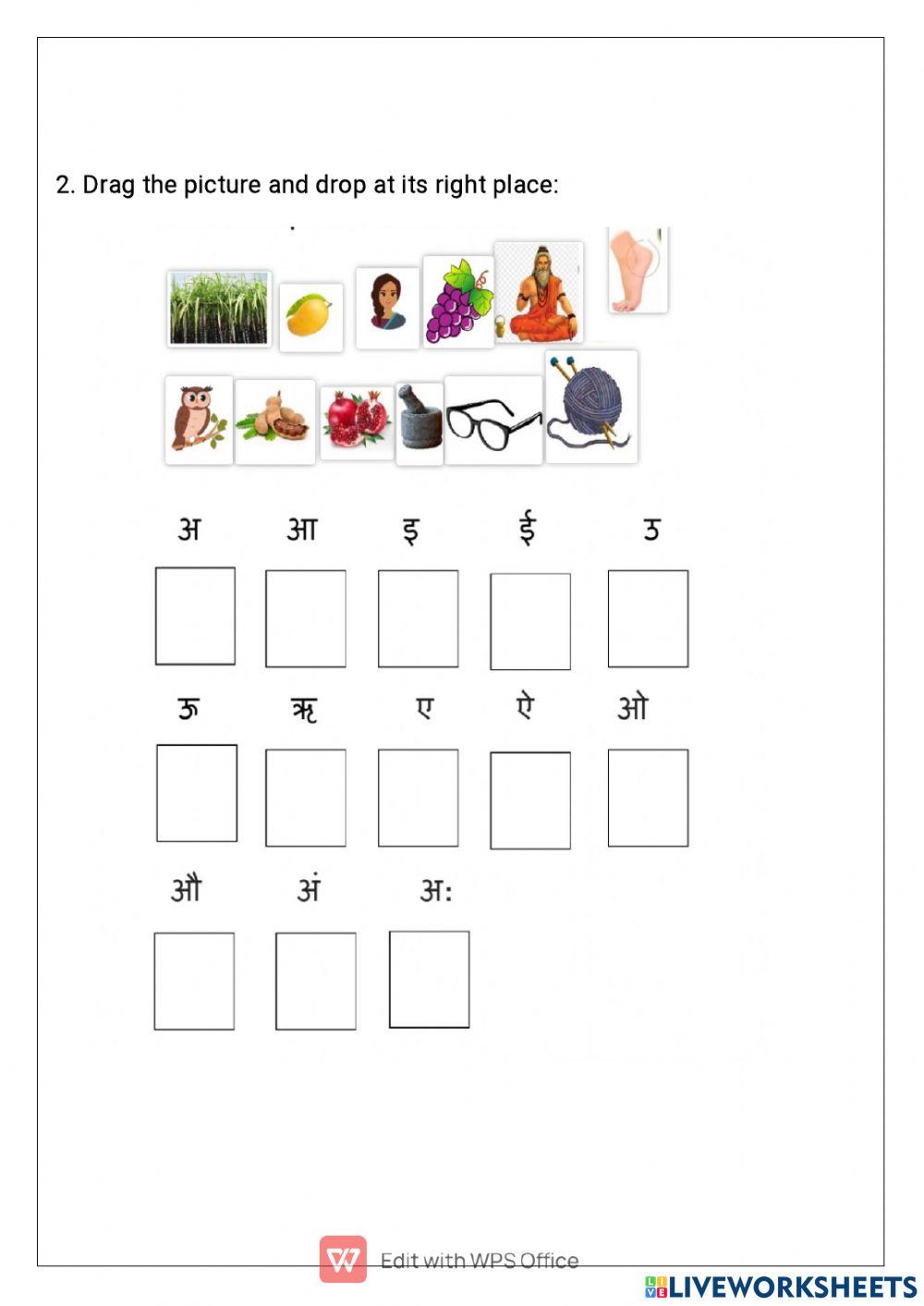 1311952 | K.G. Class | Sheenam | LiveWorksheets