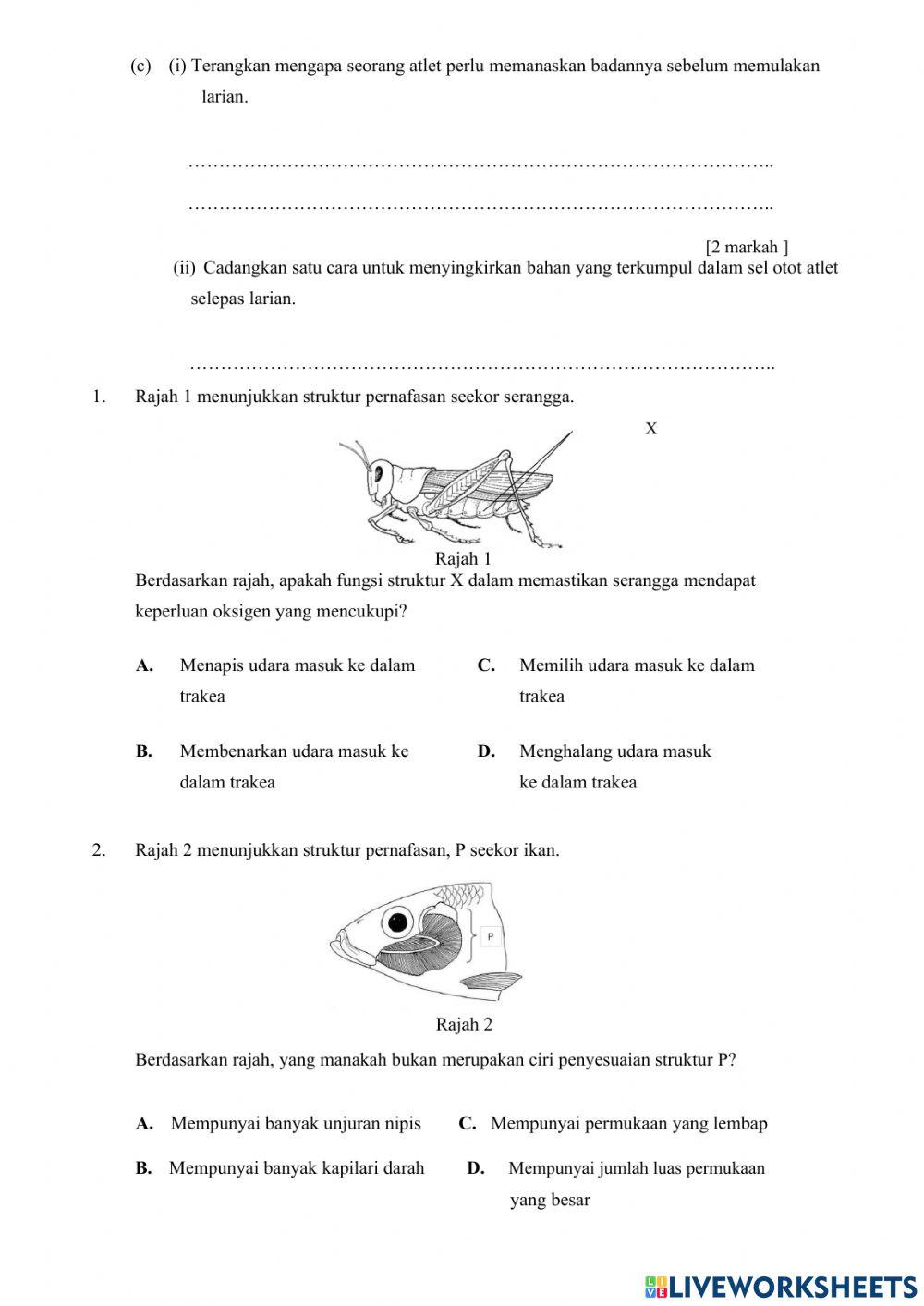 Biologi t4 bab7 worksheet | Live Worksheets