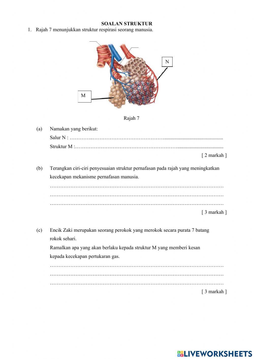 Biologi t4 bab7 worksheet | Live Worksheets