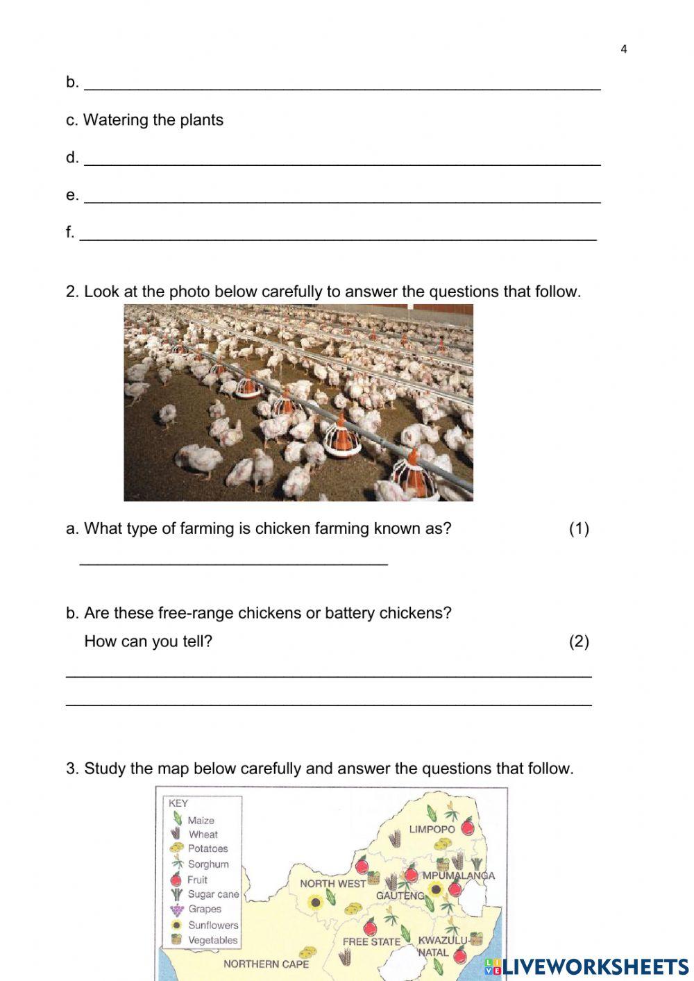 Geography paper | Free Interactive Worksheets | 1312712