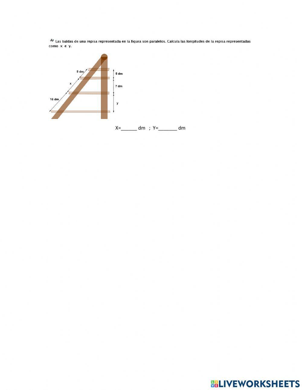 Thales theorem | Free Interactive Worksheets | 1313035