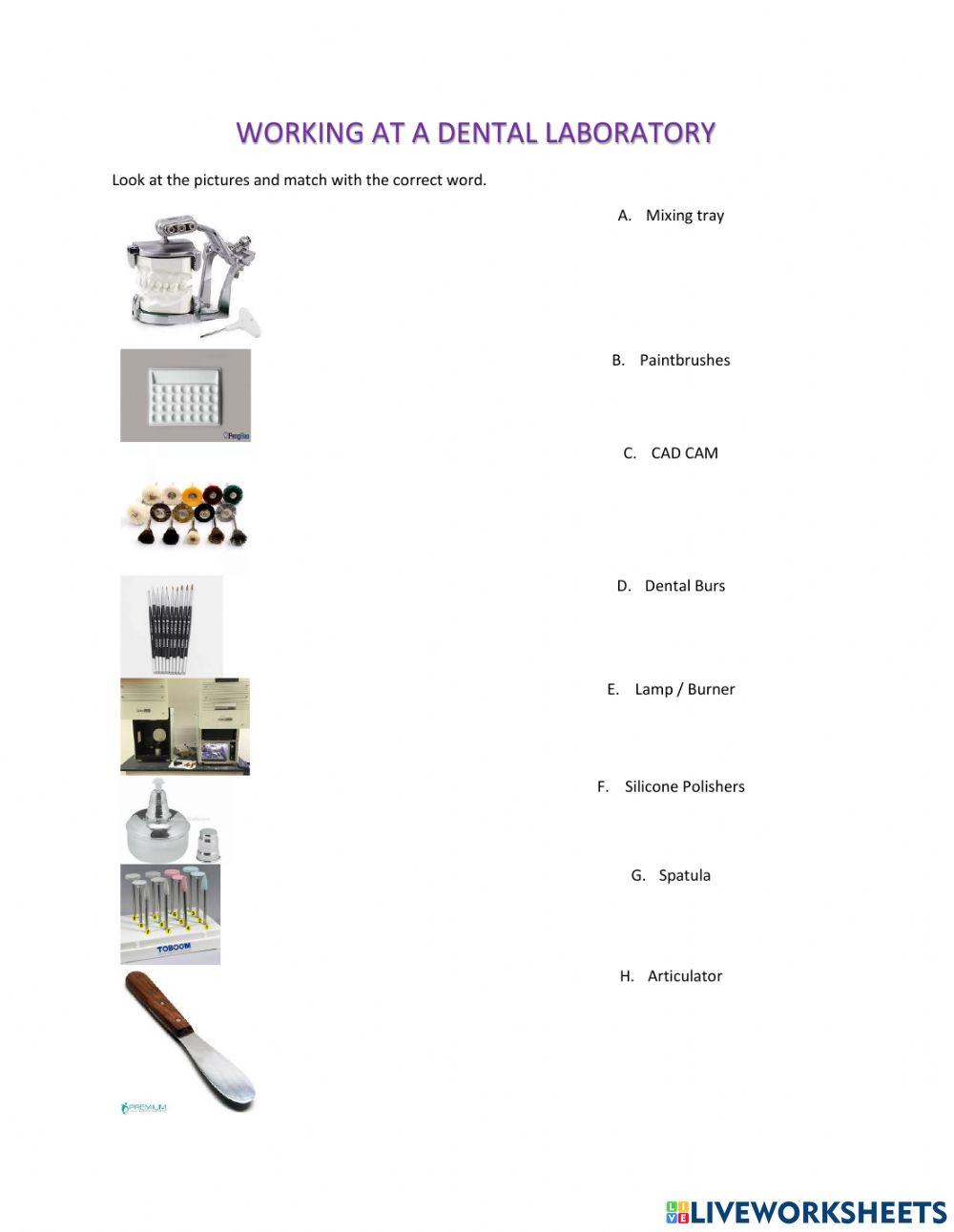 1313801 | Dental laboratory vocabulary | Ivonne Montes De