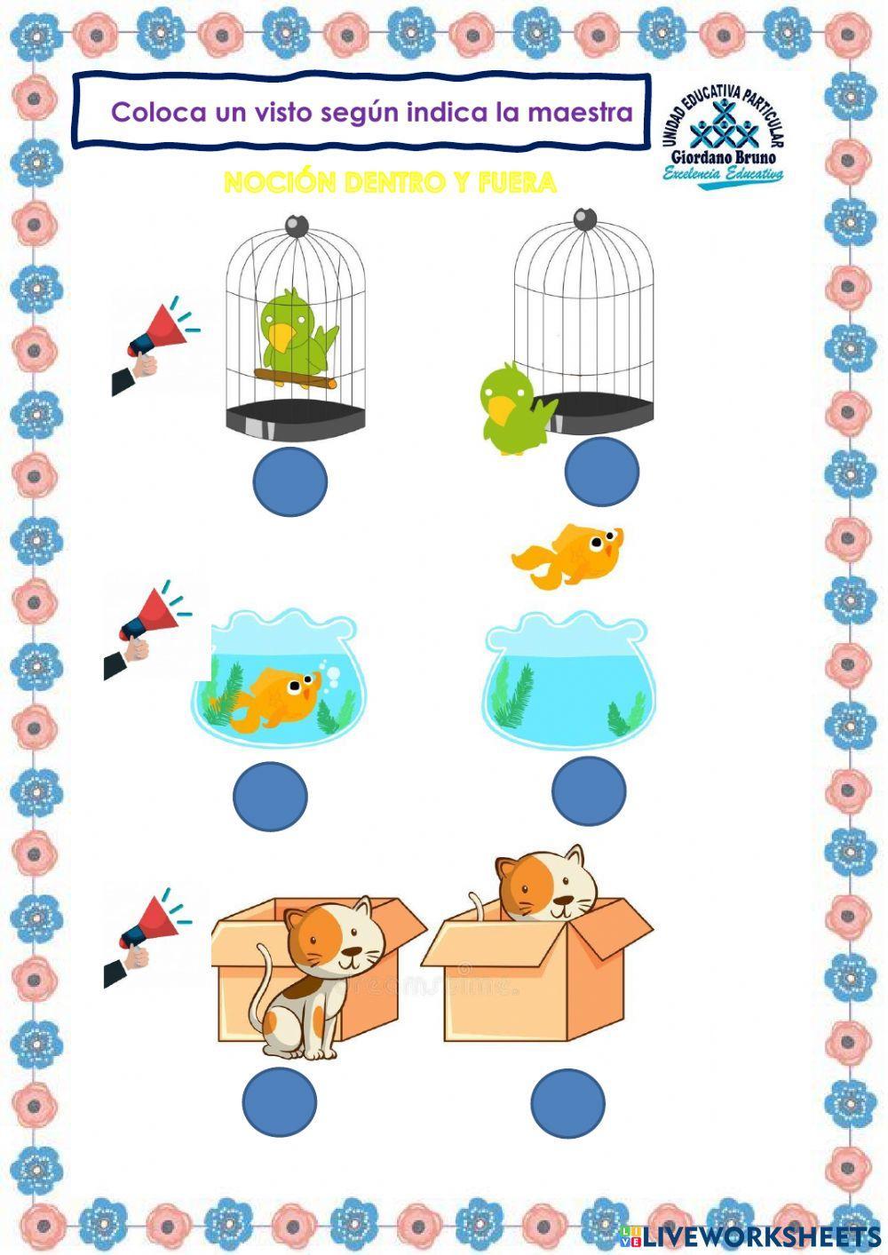 1313853 | Dentro y fuera | Jenny Katerine Rivera Tapia