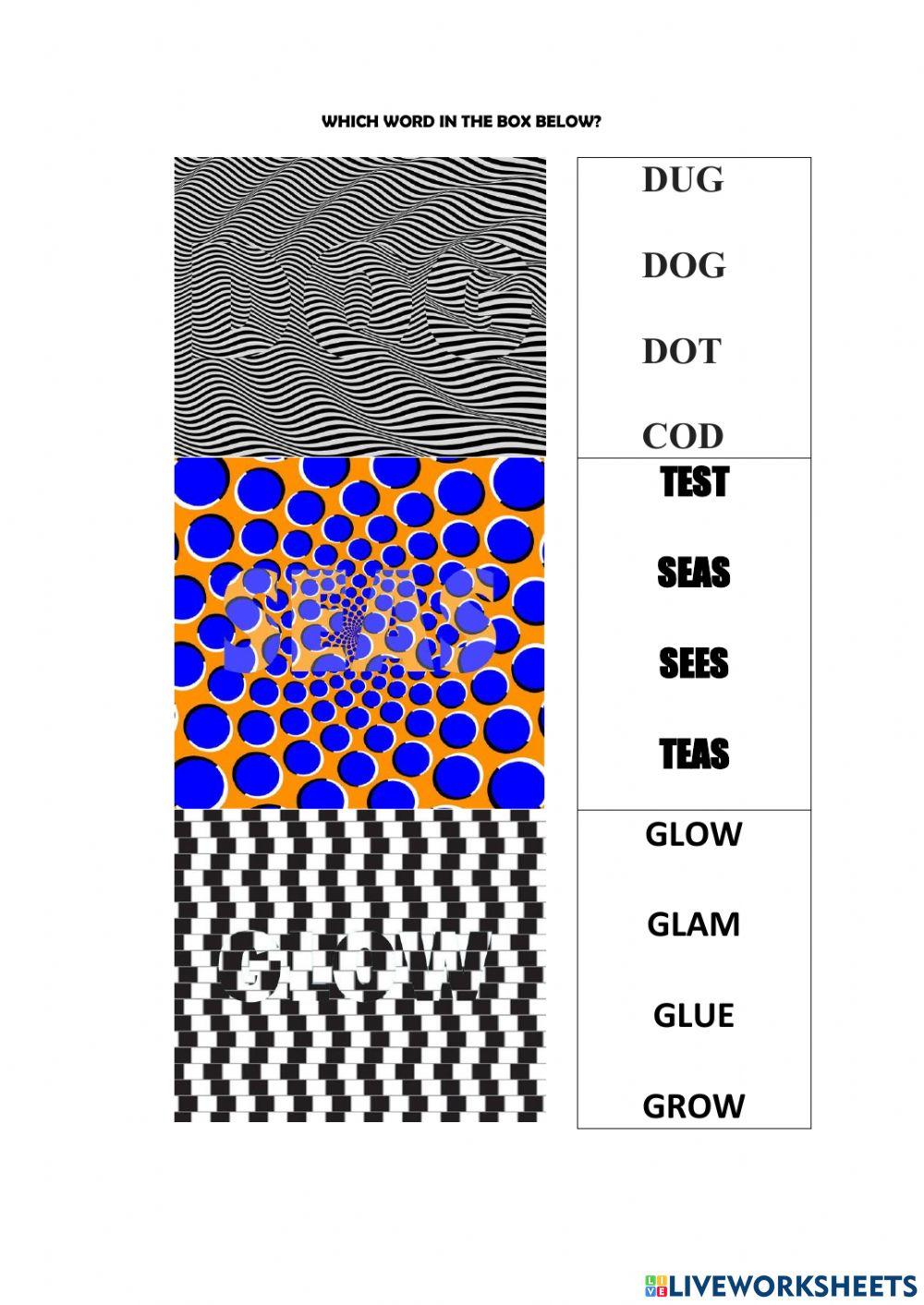 image :Optical Illusion Vision quiz online exercise for | Live Worksheets