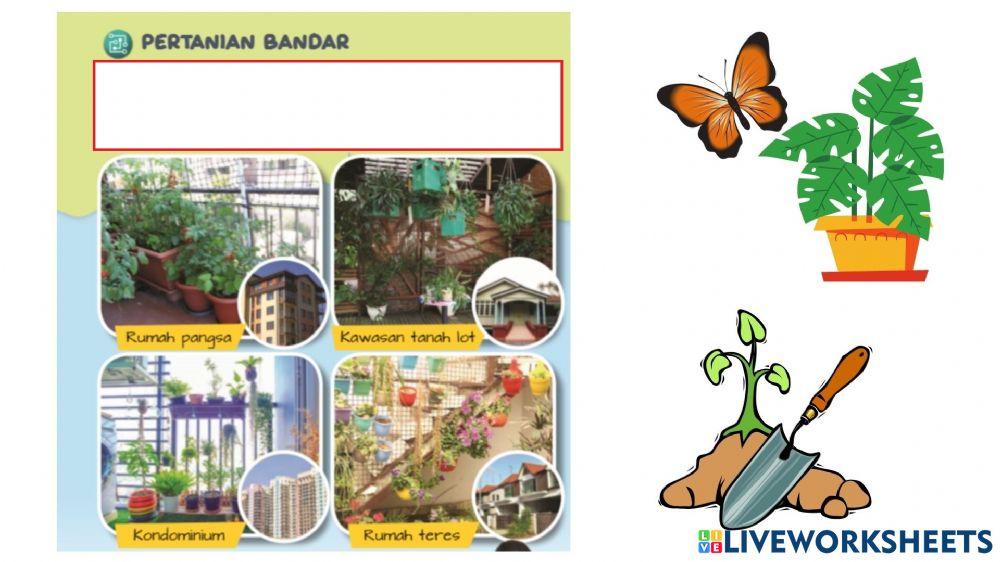 Pertanian online worksheet for 11 | Live Worksheets