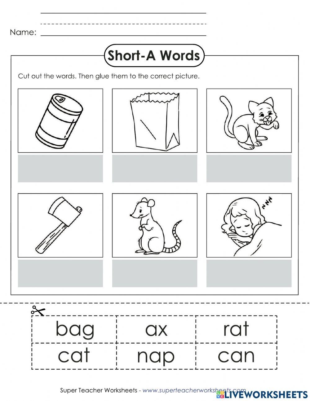 sample | Free Interactive Worksheets | 3772422