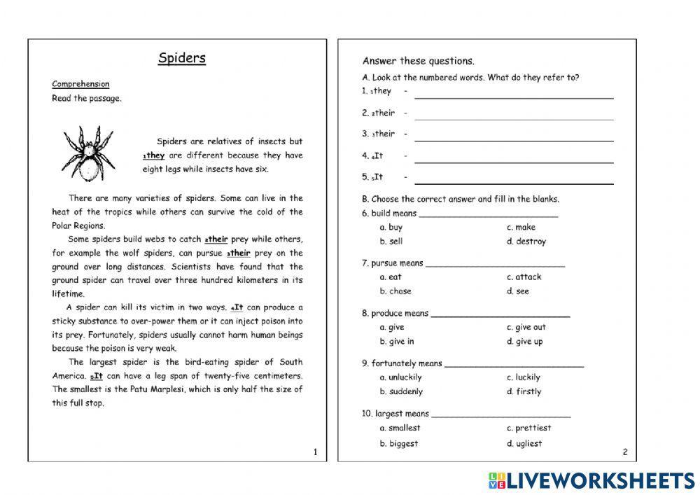 Spiders 1316891 | Suzi_Iz | LiveWorksheets