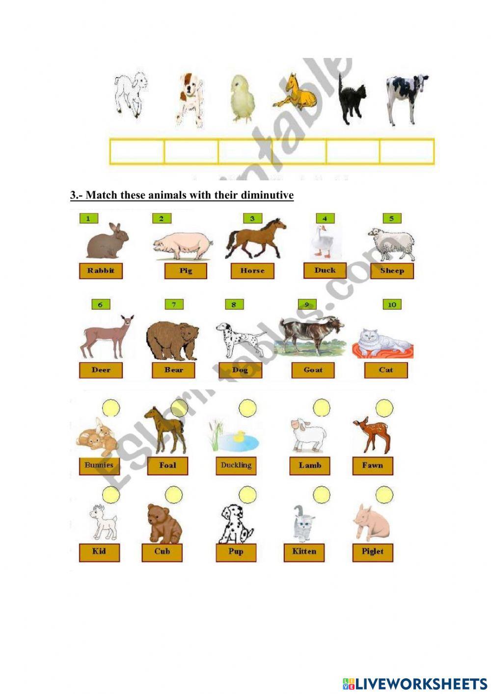 DIMINUTIVE FORM | Free Interactive Worksheets | 3778350