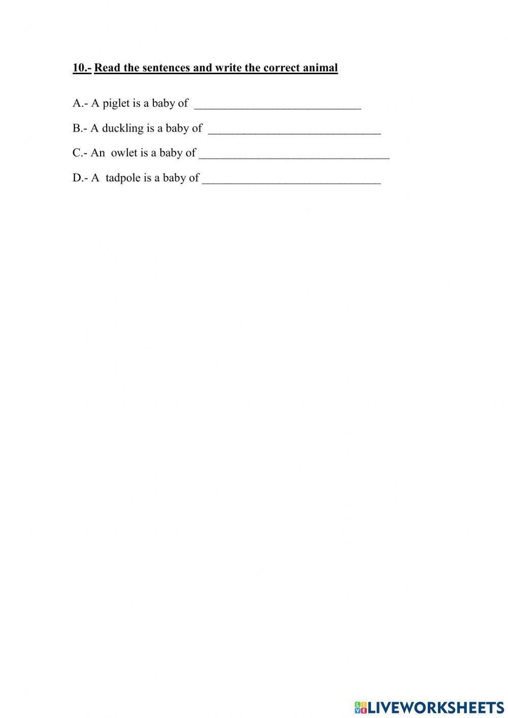 DIMINUTIVE FORM | Free Interactive Worksheets | 3778350