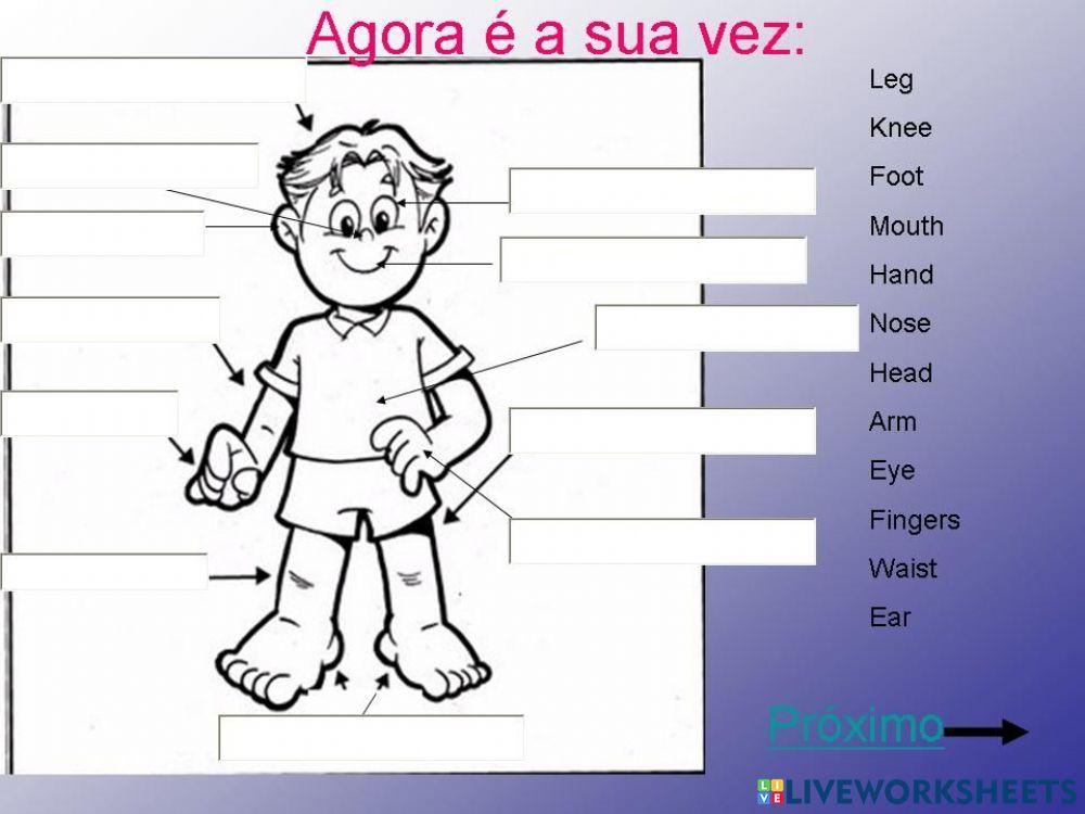 Parts of the body online exercise for 7th grade | Live Worksheets