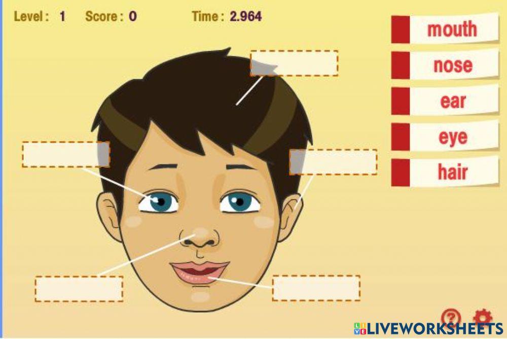 Face parts 1319909 | Manar | LiveWorksheets