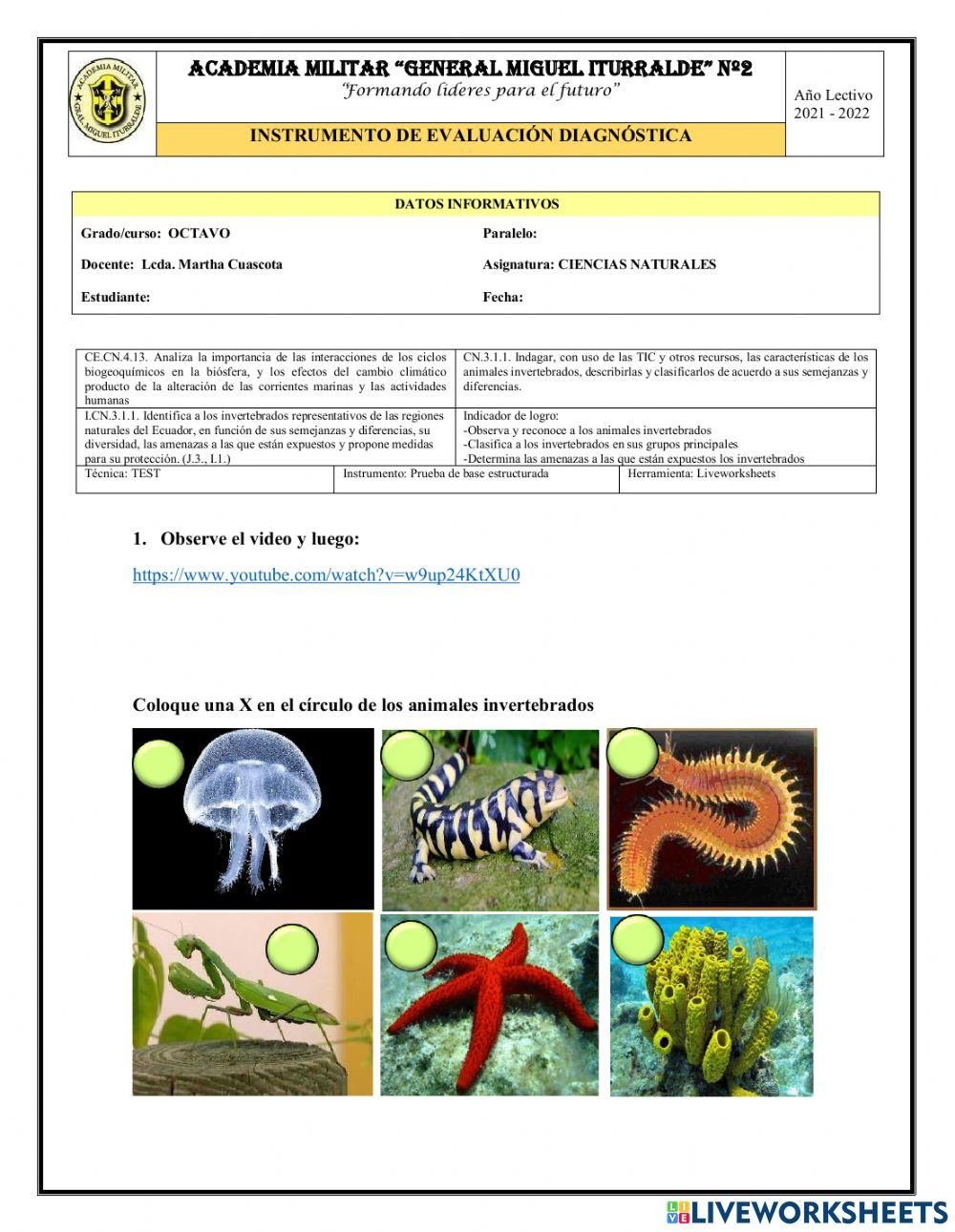 PARTE1:EVALUACI… | Free Interactive Worksheets | 3343153
