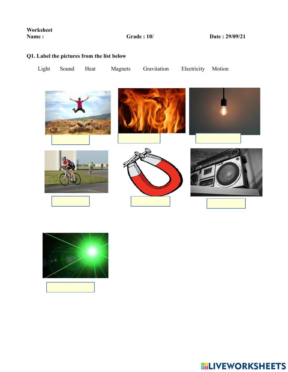 G10-branches of… | Free Interactive Worksheets | 5142739