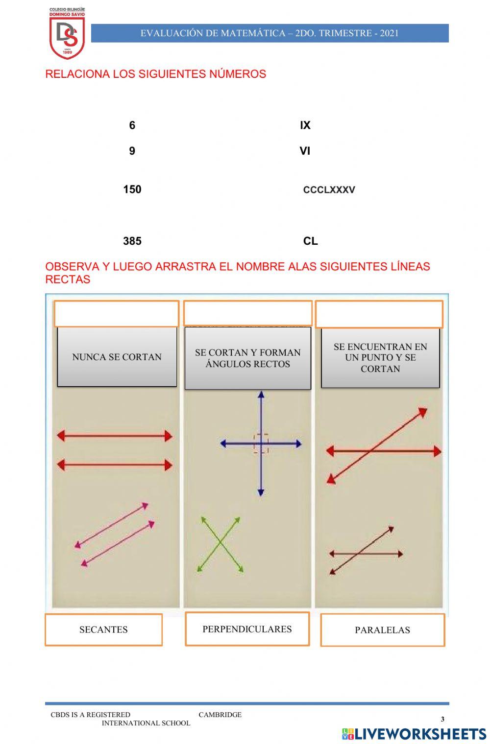 Líneas rectas activity | Live Worksheets