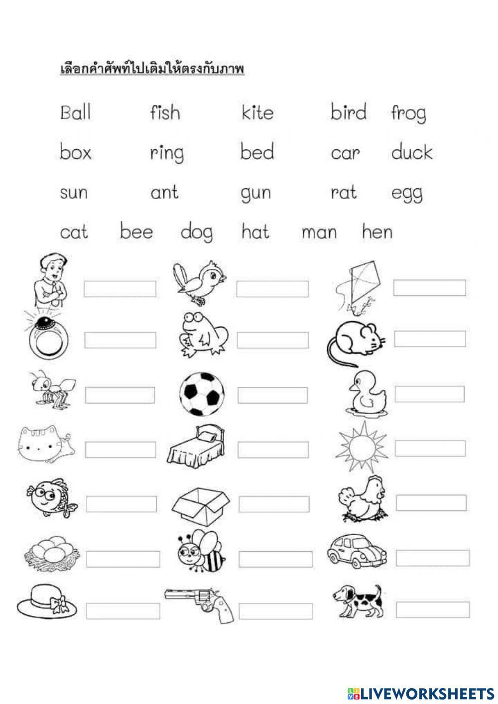 Vocabulary Online Exercise For 3 Live Worksheets vocabulary-online-exercise-for-3-live-worksheets