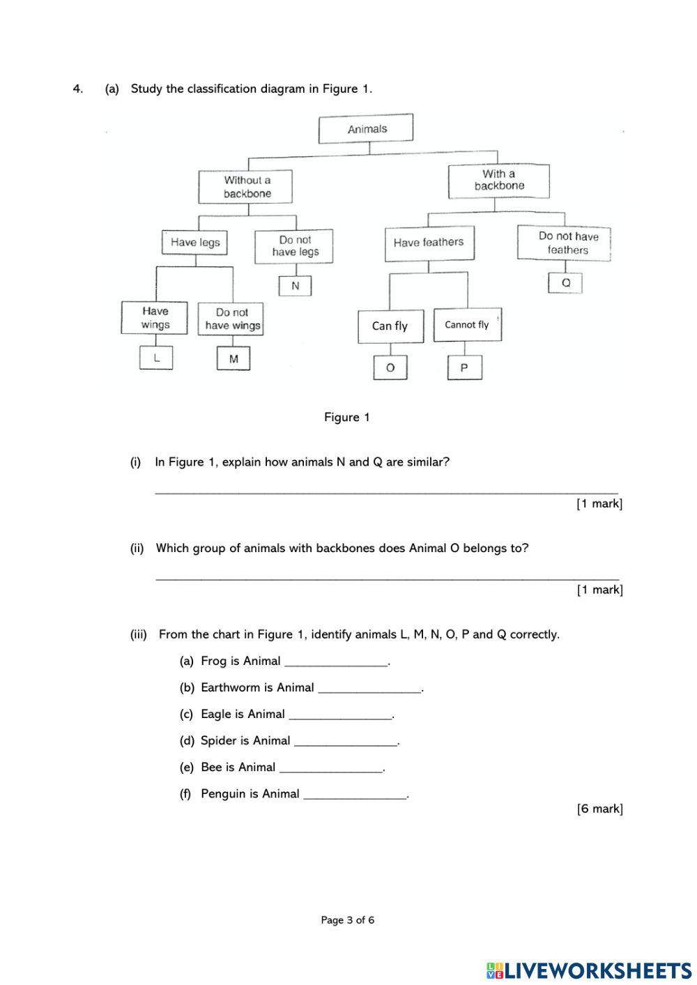 PYP Variety and classification 01 3787839 | Arman | Live