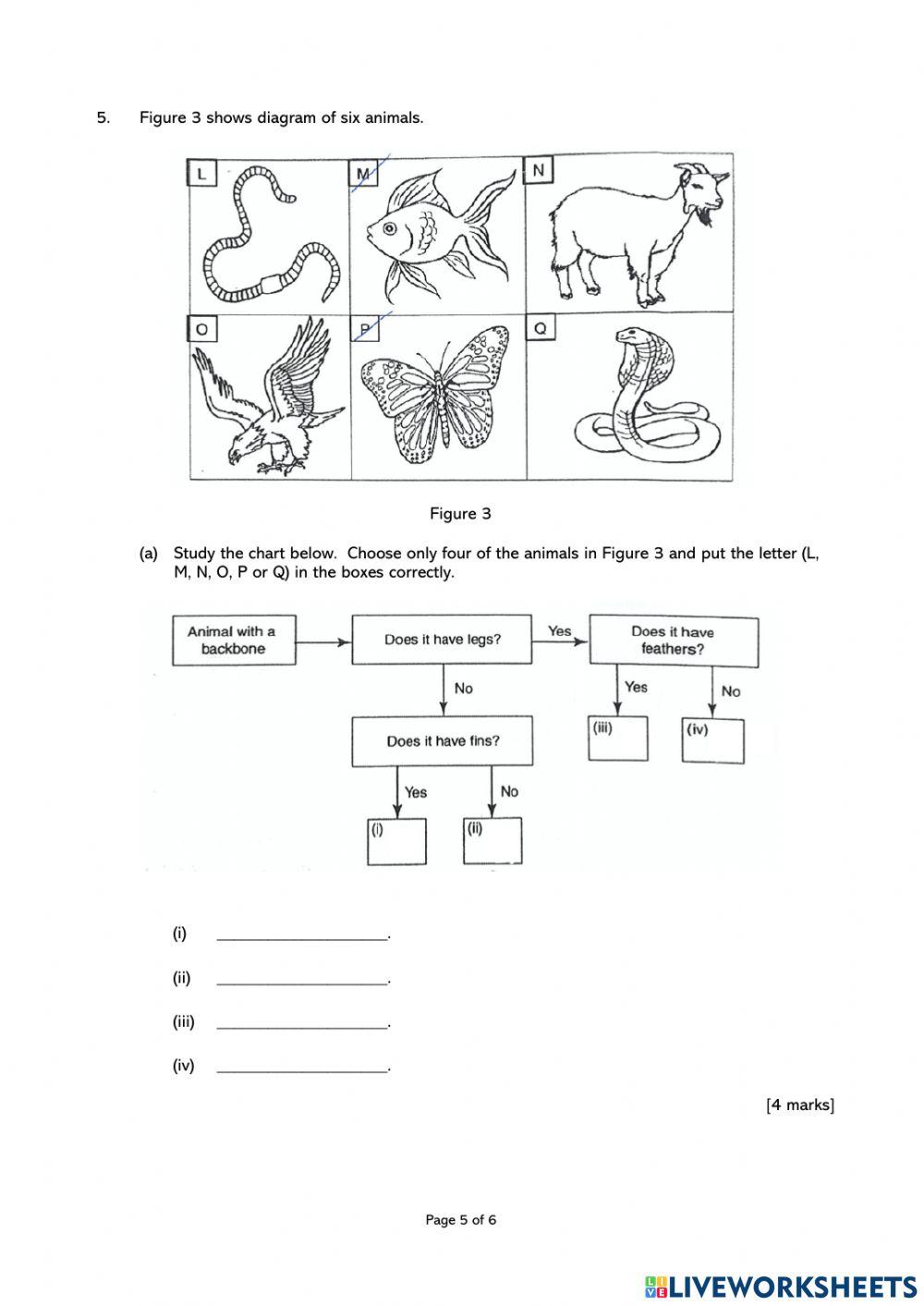 PYP Variety and classification 01 3787839 | Arman | Live