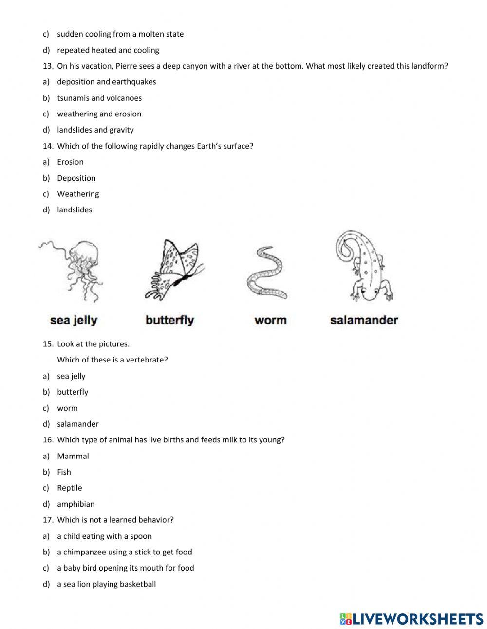 4th grade- science diagnostic - teacher gaby worksheet | Live Worksheets