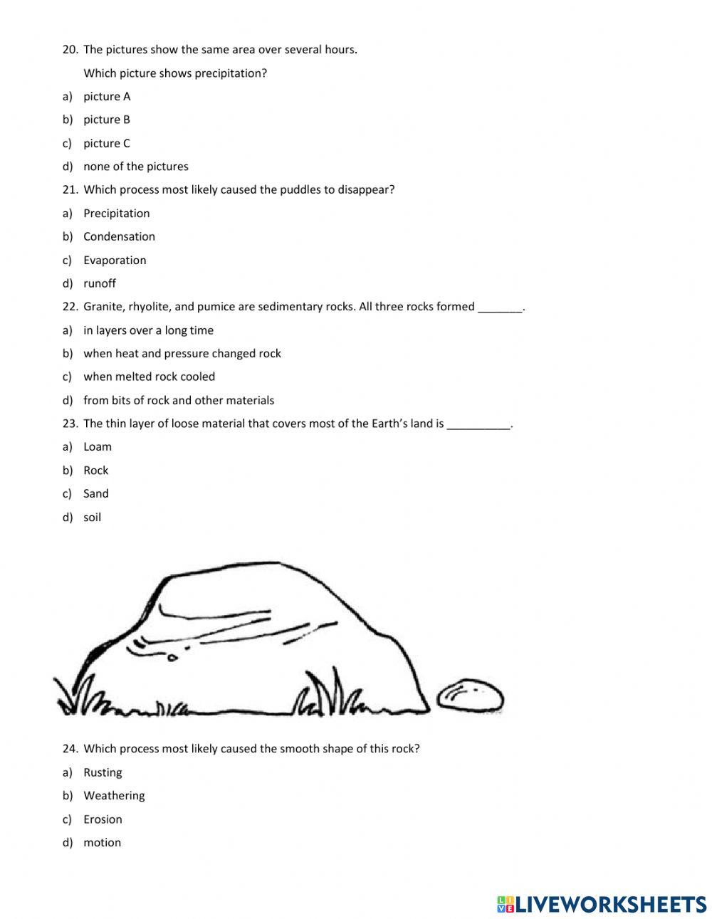 4th grade- science diagnostic - teacher gaby worksheet | Live Worksheets