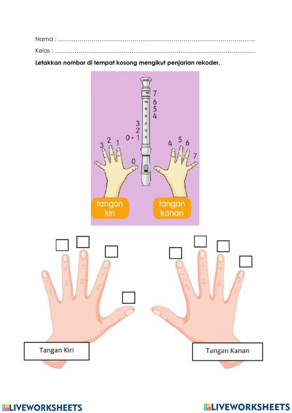 Rekoder | LiveWorksheets | 1223554